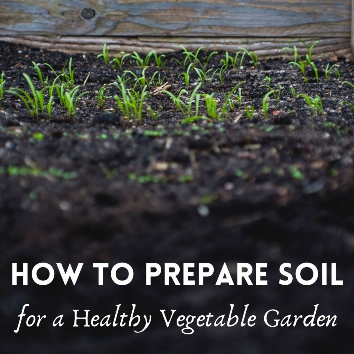 How to Prepare Excellent Soil for the Garden With Compost